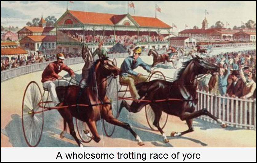 How a Surefire Horse Lost by a Neck - Ricks Picks